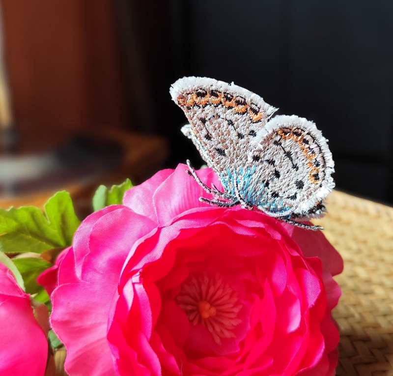 Stickdatei , FSL, Schmetterling