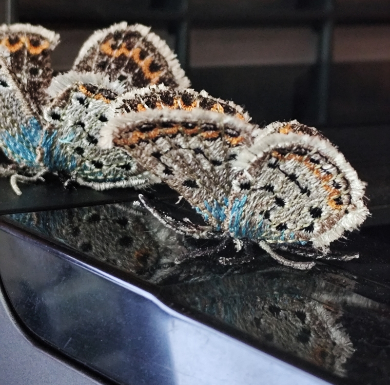 Stickdatei , FSL, Schmetterling